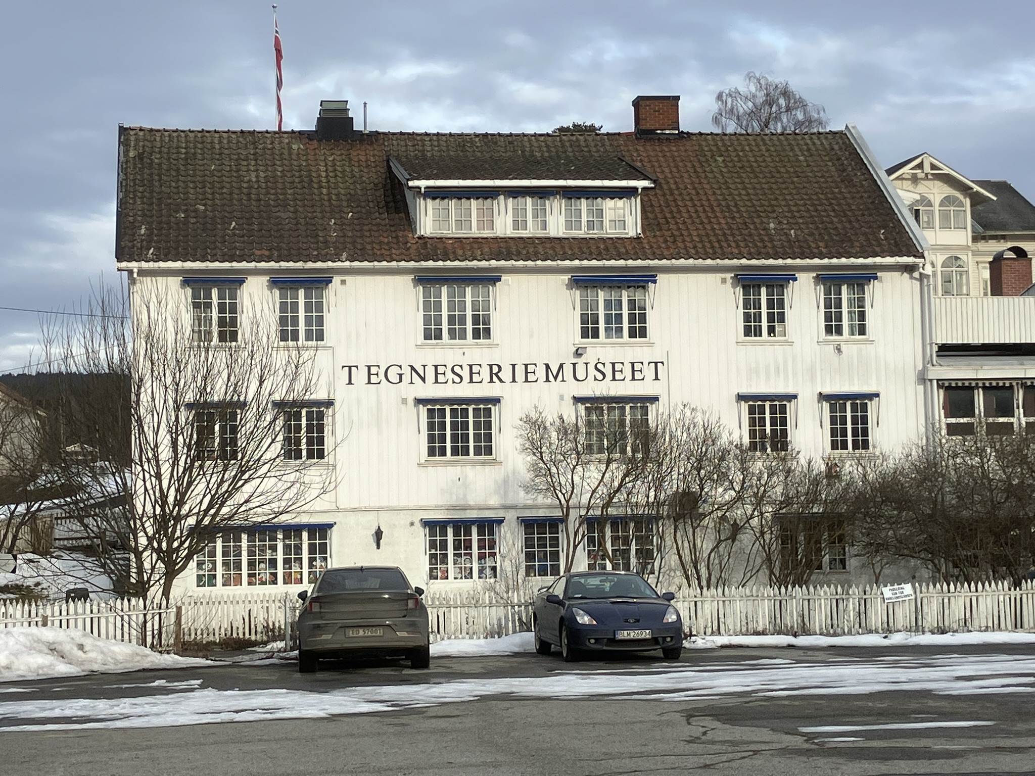 Ny president i NTF • serienett.no